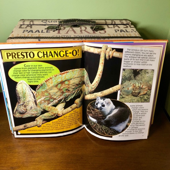 Other | Childrens Animal Hardcover Books Set Of 4 | Poshmark